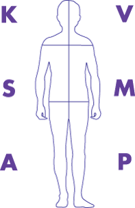 The Can-Do/Will-do Model™: What Employees WILL Do - AVATAR MS